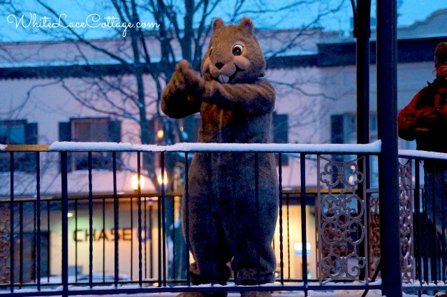 Revisiting Groundhog Day - MAKEUP FOR MATURE SKIN