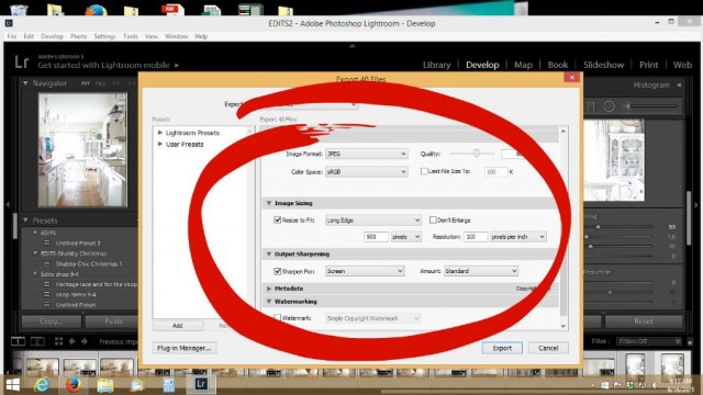 Easy Step By Step Tutorial How To Edit In Lightroom - MAKEUP FOR MATURE ...